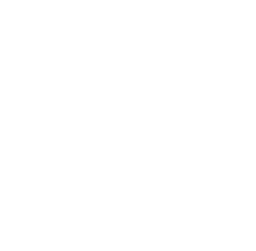 Web Development Services | Digisoft Solution